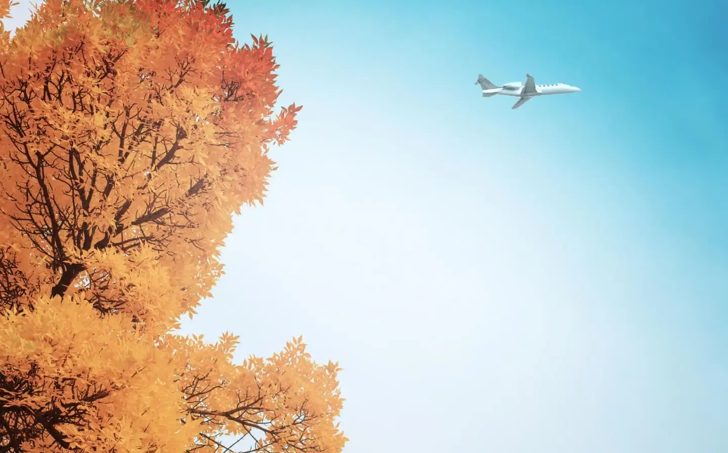 Fly private to the US for Thanksgiving